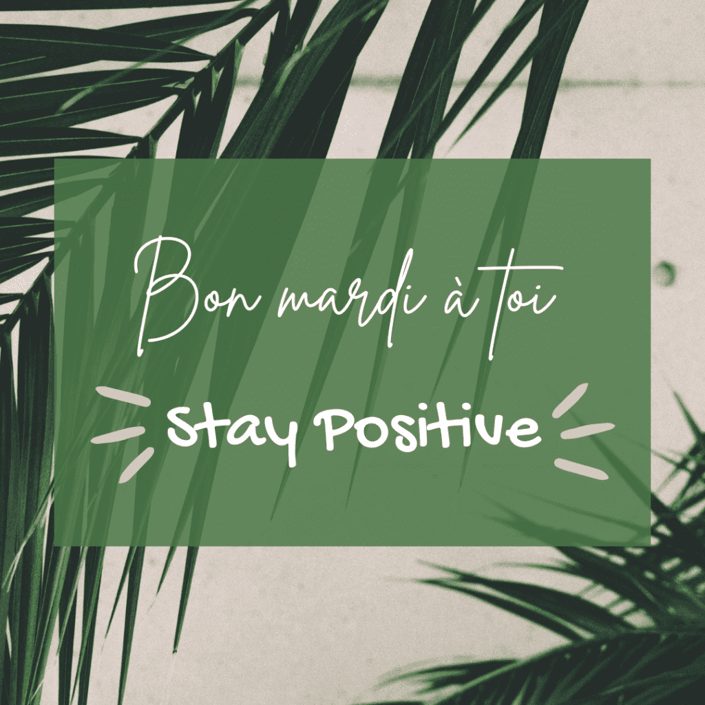 50 Messages et SMS pour souhaiter un bon mardi - questions à poser